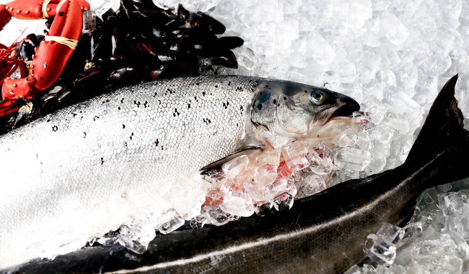 Lanserer fisk rett fra havet, med ferskhetsgaranti! | Oda