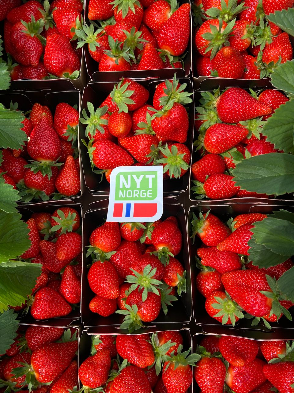 "Alle" elsker Nyt Norge! | Stiftelsen Norsk Mat