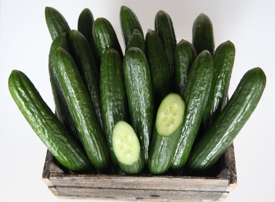 Agurktid nesten hele året | Opplysningskontoret for frukt og grønt