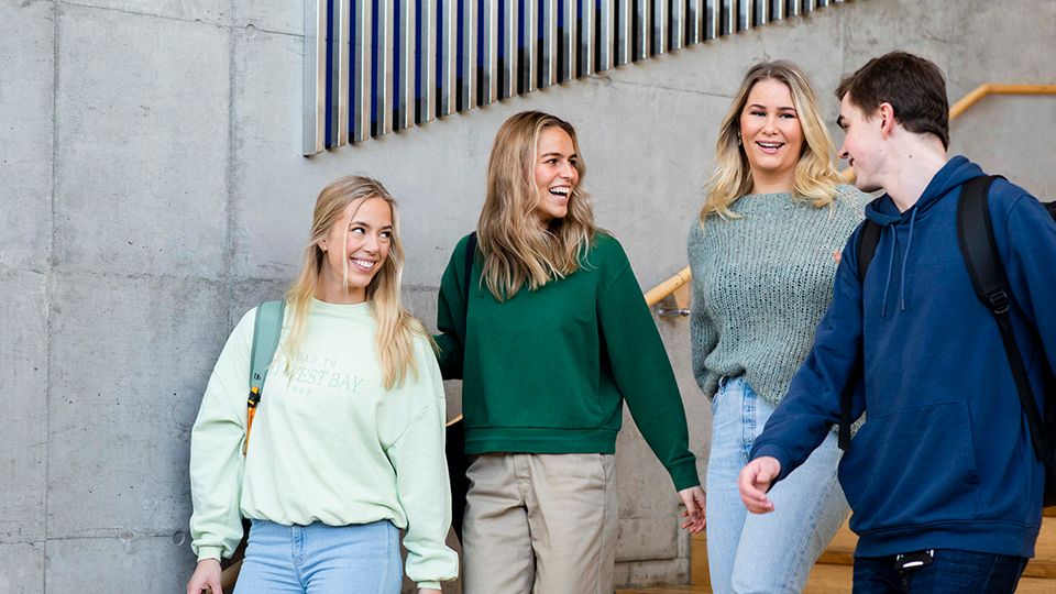 Stabilt gode søkertall for Høgskolen i Innlandet | Universitetet i ...