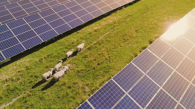 Hafslund, Magnora og Helios starter nytt solkraftselskap i Norge | Hafslund
