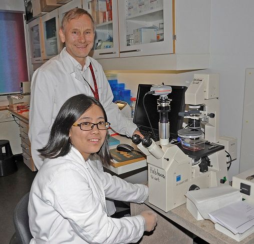 Skreddersydd kreftbehandling | UiO - Det odontologiske fakultet