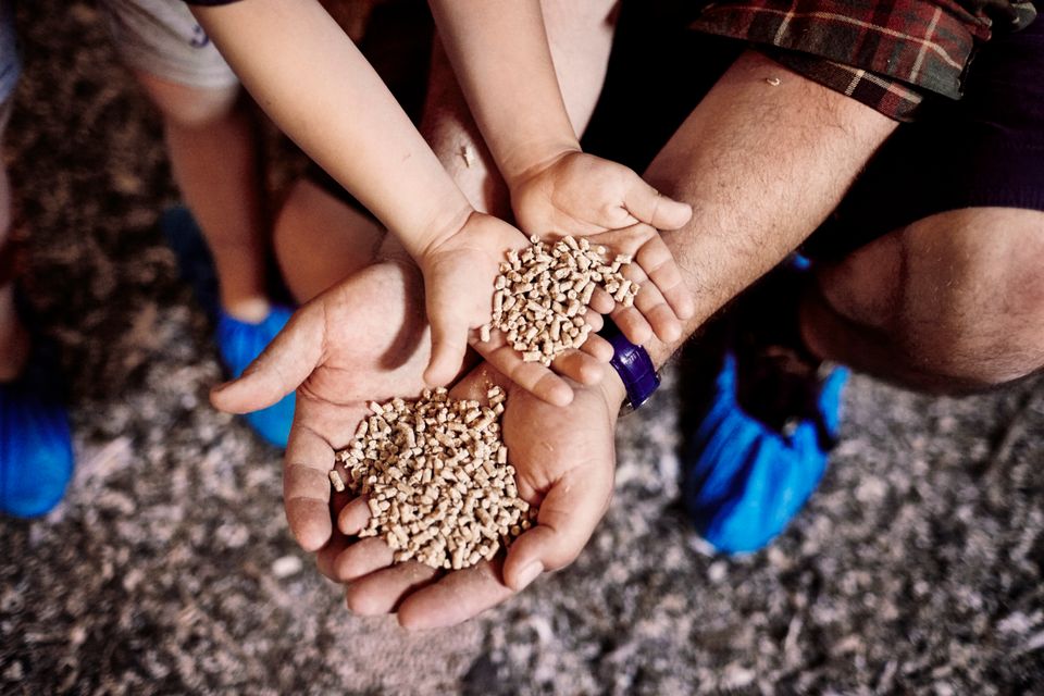 PRIOR og Felleskjøpet Agri girer opp norsk fôr-satsing: 90% norske ...