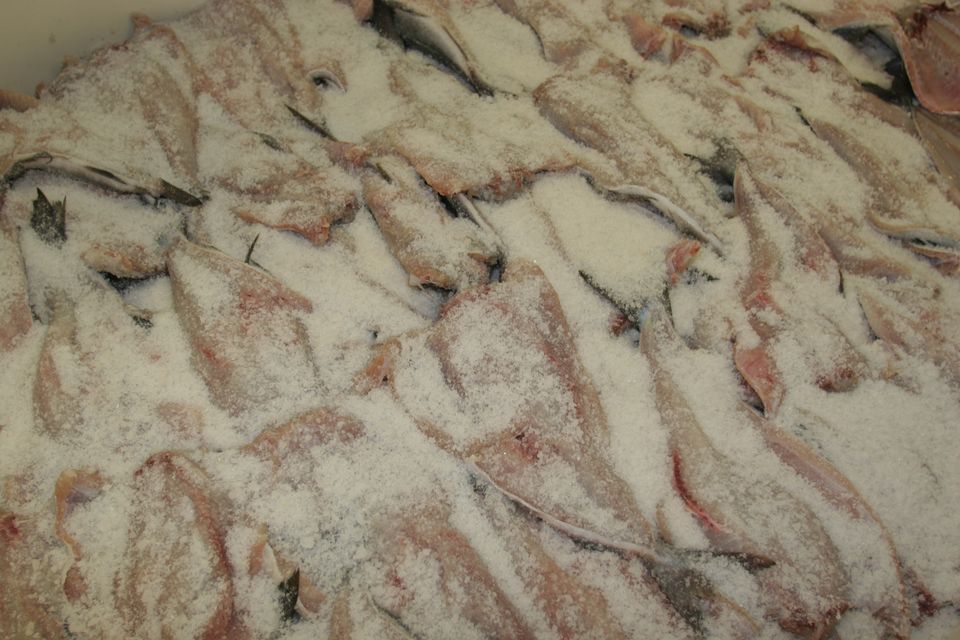 Tørrfisk og saltfisk er selve livsnerven på Røst og i Nordkapp | Nofima