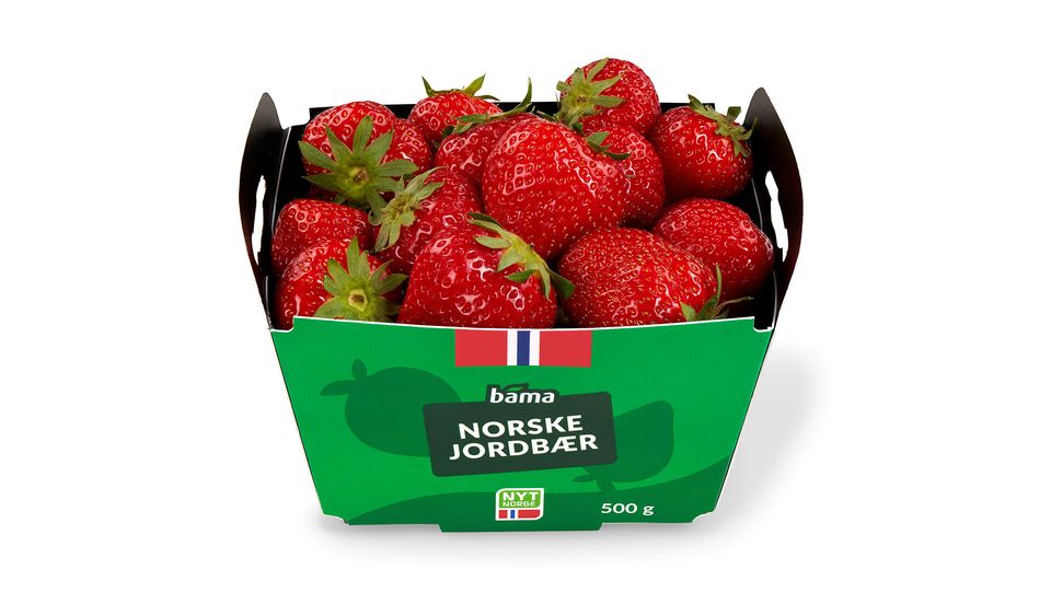 Tror på tidenes lengste jordbærsesong | BAMA