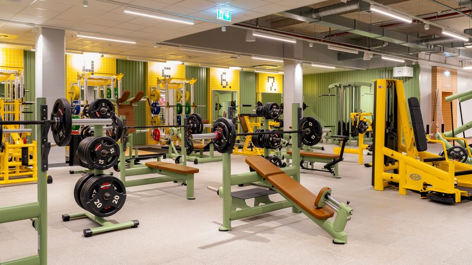 McFIT “The Original” Launches International Franchising – One of Europe ...