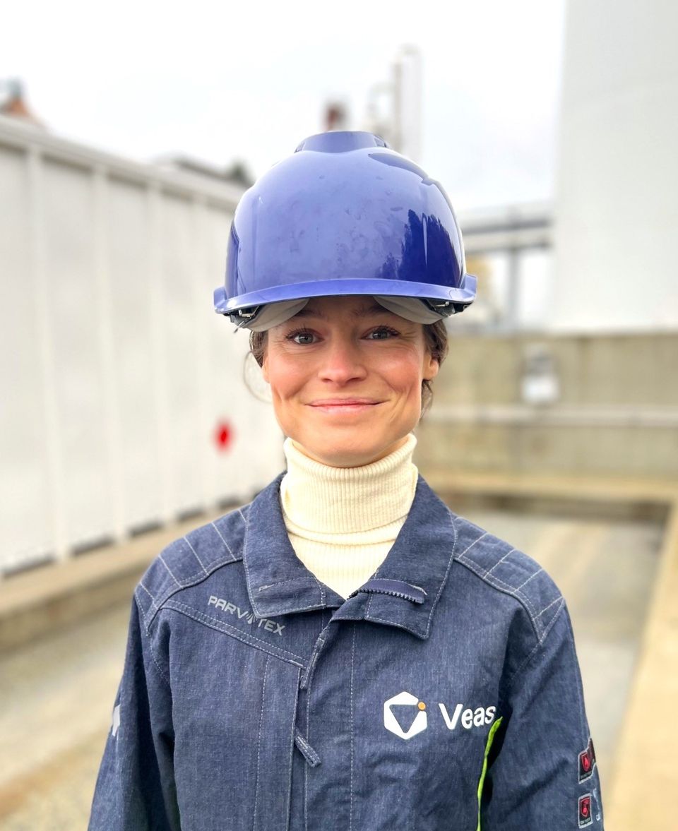 DNV og Inherit Carbon Solutions inngår avtale om karbonfjerning til en ...