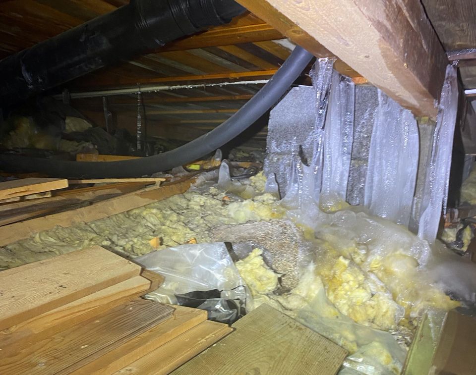 Venter flere frostskader med ny kuldebølge | Fremtind