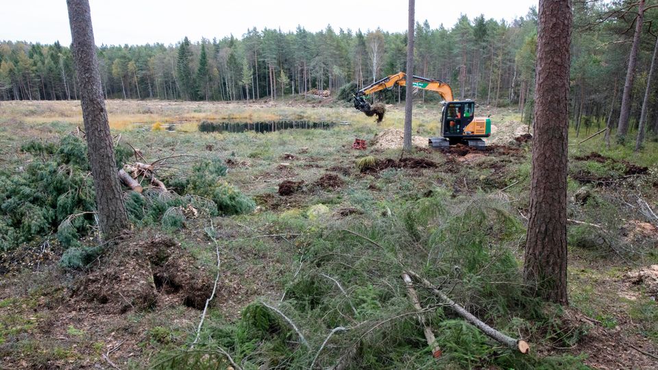 Ny rapport: 71 tiltak for å løse klima- og naturkrisen | Miljødirektoratet