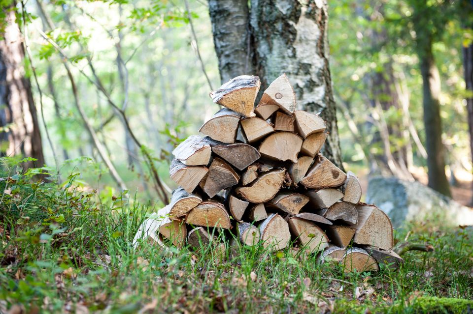 Vedsalget har eksplodert | Byggmax