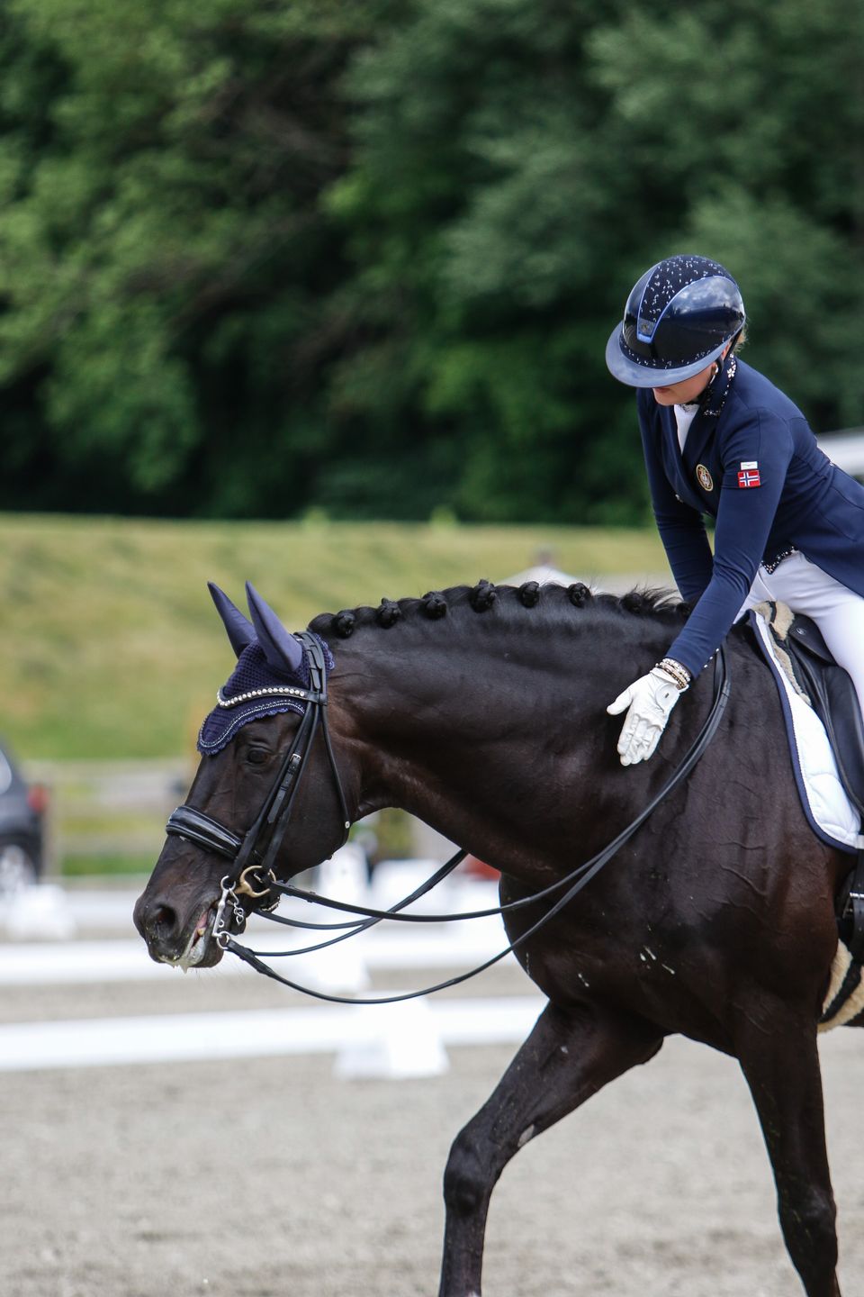 Emma Løkken er nordisk mester i dressur | Norges Rytterforbund