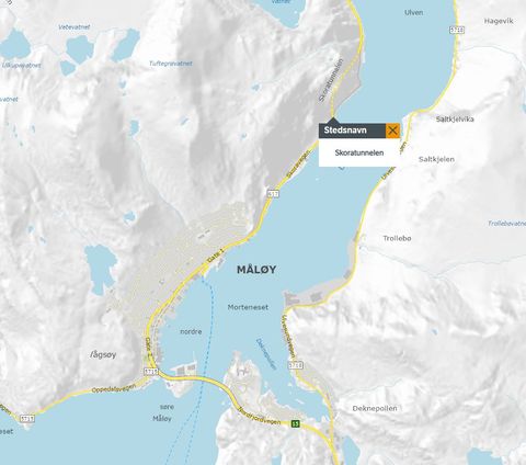 Brannøving i fv. 617 Skåratunnelen | Statens vegvesen