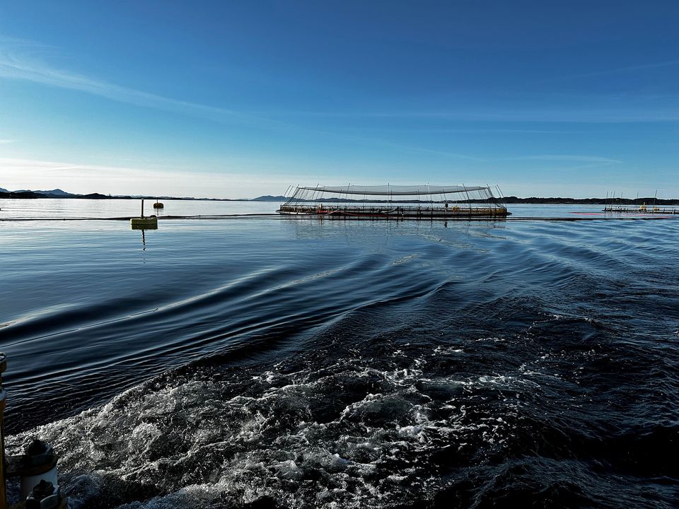 NORCE skal digitalisere hav- og kystnæringene | NORCE