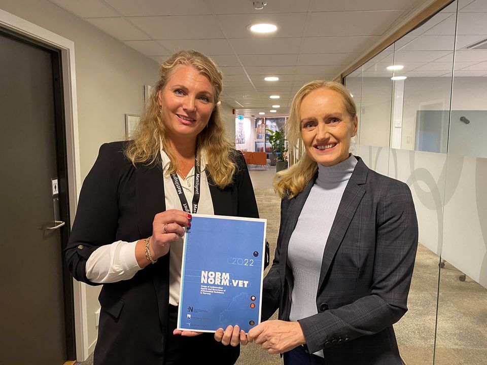 NORM-VET-rapporten 2022: Aldri registrert lavere antibiotikaforbruk til ...