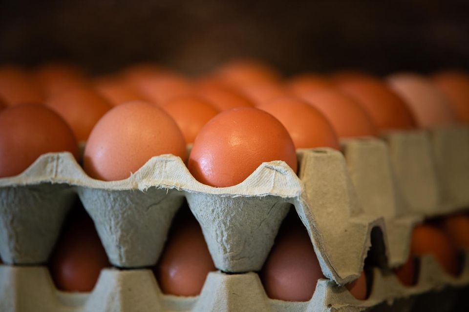 Landbruksdirektoratet åpner for mer import av egg | Landbruksdirektoratet