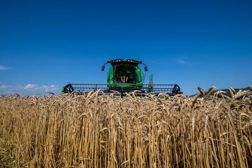 Foreløpig anslag for produksjonssvikt tyder på et normalår i 2024 | Landbruksdirektoratet