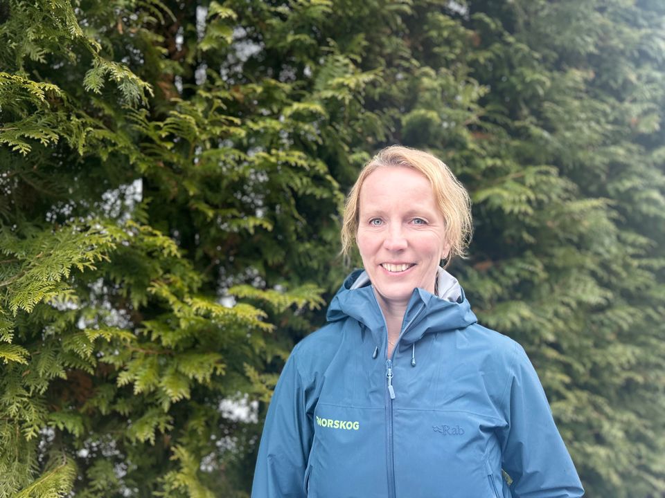 Norge må si nei til EUs kortsiktige skogpolitikk | NORSKOG