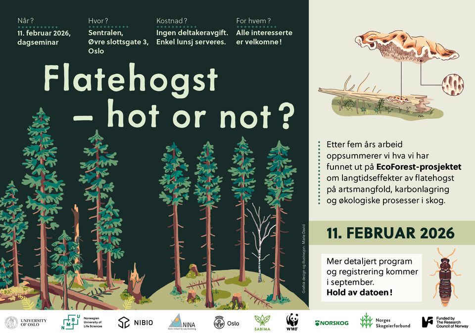EcoForest-prosjektet oppsummeres: Hva er langtidseffekten av flatehogst ...