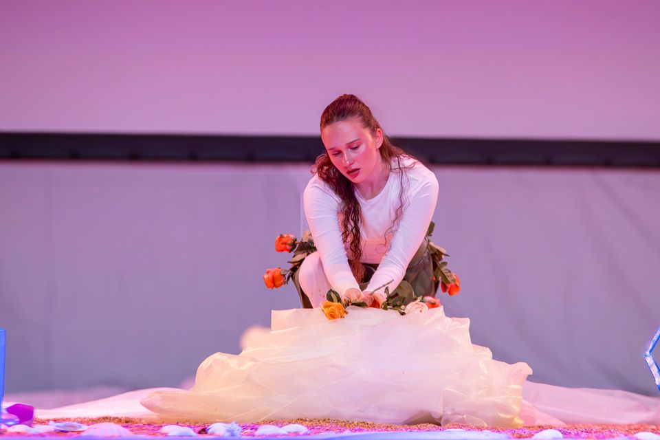 'Grand Finale' på Roseslottets jubileumsturné i Oslo | Stiftelsen ...