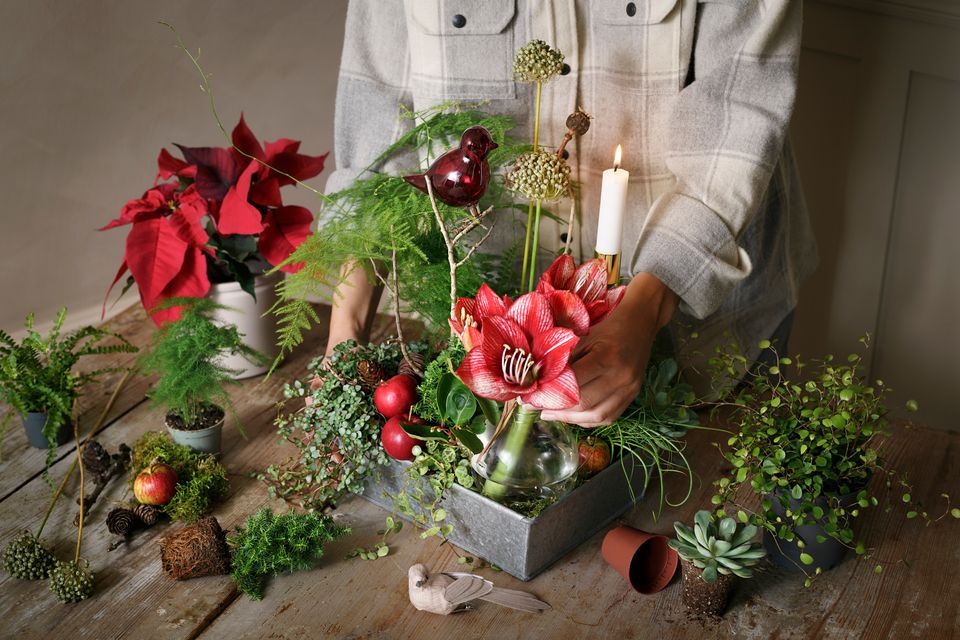 Julefeiring i dyrtid: – I år pynter nordmenn nedtonet og tradisjonelt | Plantasjen