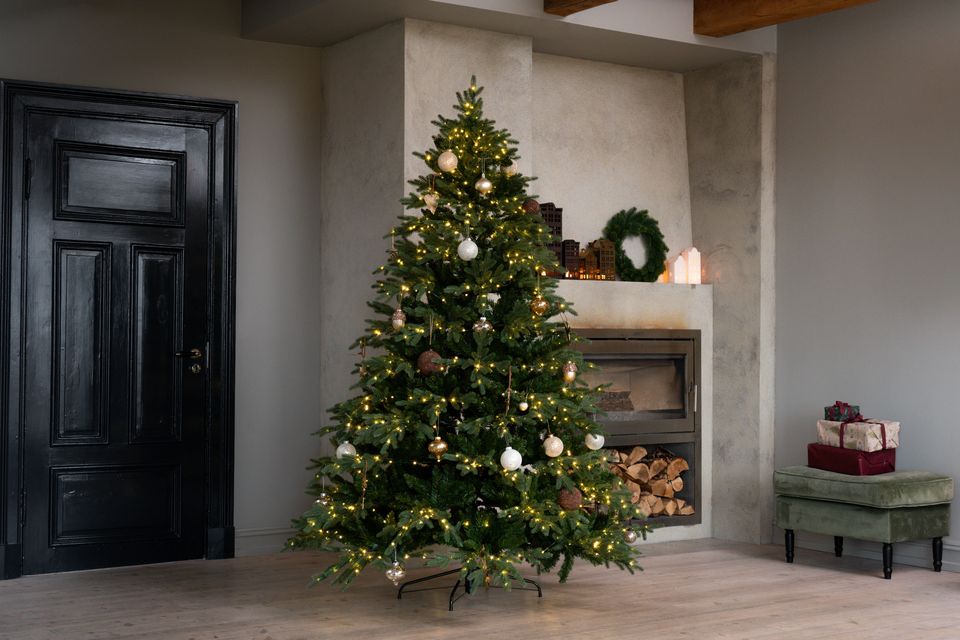 Kunstig eller ekte juletre? Dette velger nordmenn i år | Plantasjen