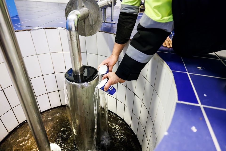 30 år siden Imsdaleventyret startet | Ringnes