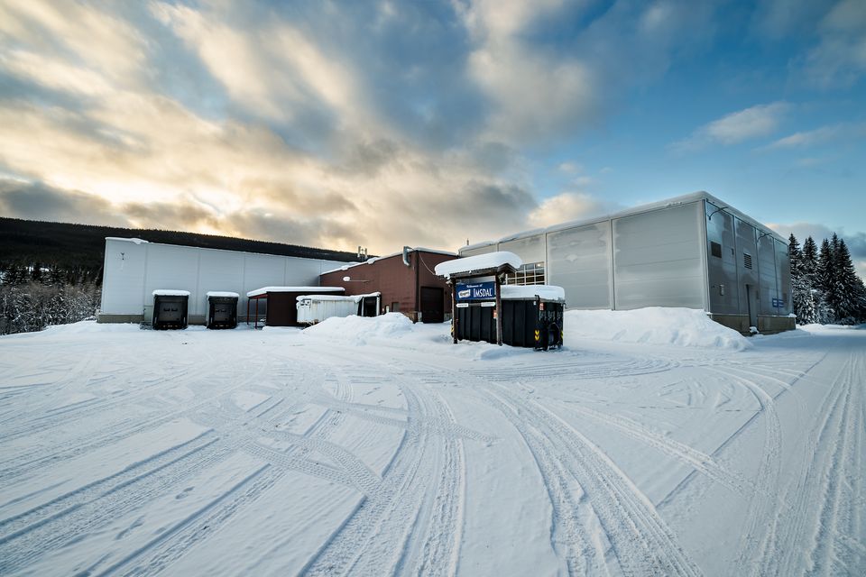 30 år siden Imsdaleventyret startet | Ringnes