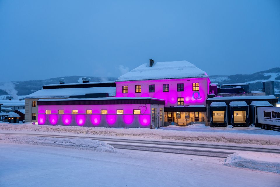 Lilla lansering for melkeinnovasjon | Q-Meieriene