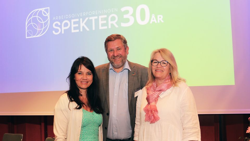 Nytt styre i Arbeidsgiverforeningen Spekter | Spekter