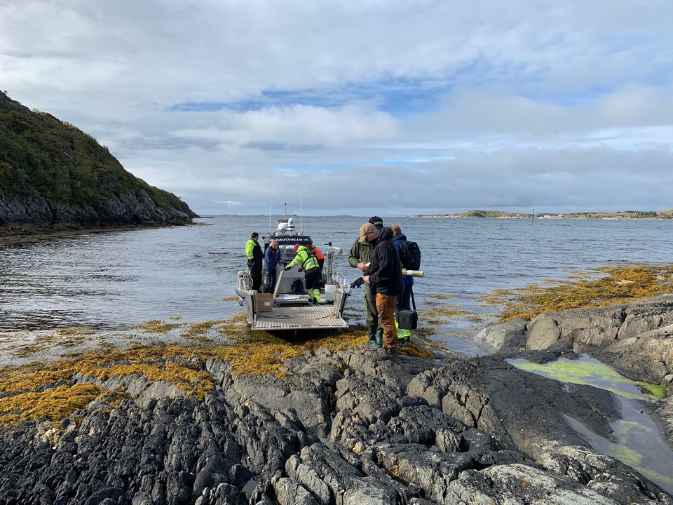 Strandryddeuka starter i dag | Hold Norge Rent