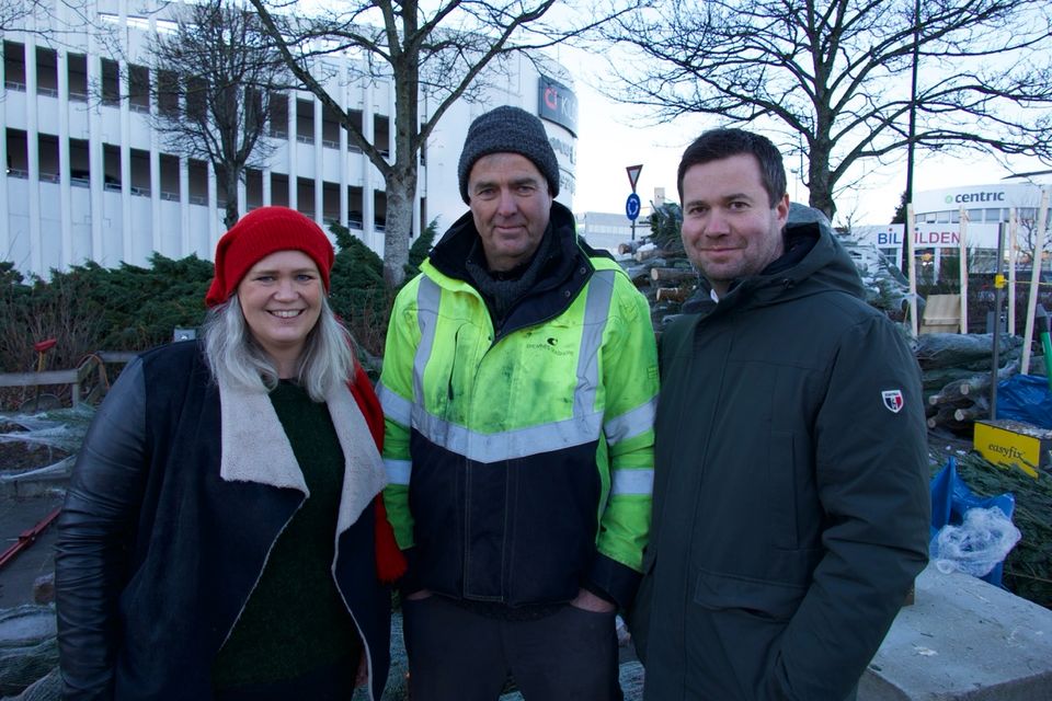 Nyt Norge på norske juletrær | Stiftelsen Norsk Mat