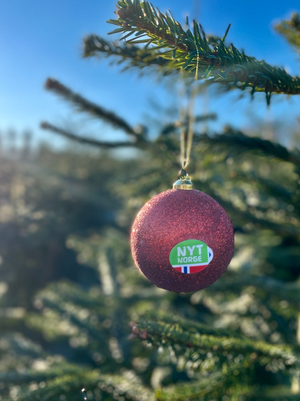 Nyt Norge troner på toppen av merkekjennskap i Norge | Stiftelsen Norsk Mat